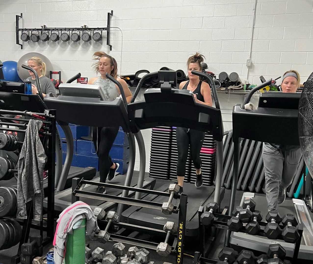 Gallery - Welcome to The Workout Warehouse | Riverview, MI